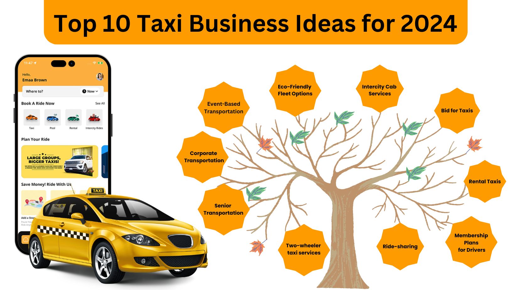 Top 10 Taxi Business Ideas for 2024